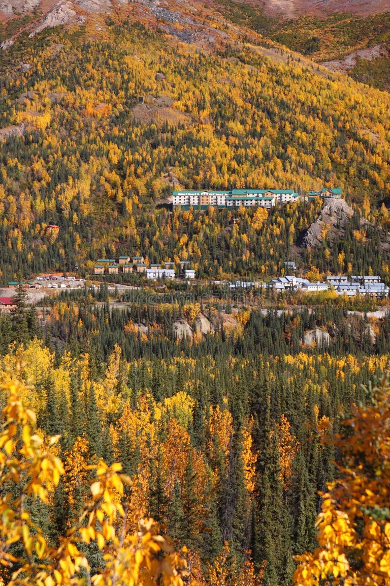 1,388 Fall Treeline Stock Photos - Free & Royalty-Free Stock Photos ...