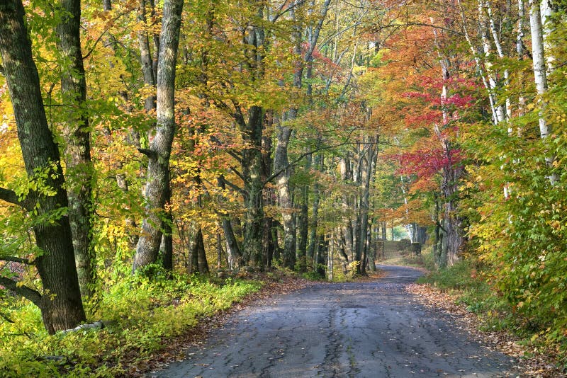 Fall Color Along Road in Sugar Hill Stock Image - Image of autumn ...