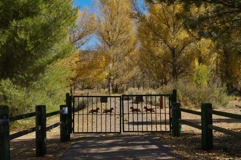 Fall Color Beyond the Gate stock photo. Image of yellow - 164070496