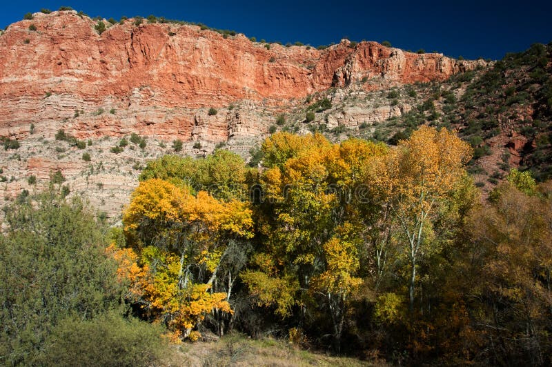 Fall color and bluff stock image. Image of trees, landscape - 54446503