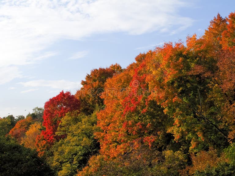Fall color change stock image. Image of trees, colors - 19877147