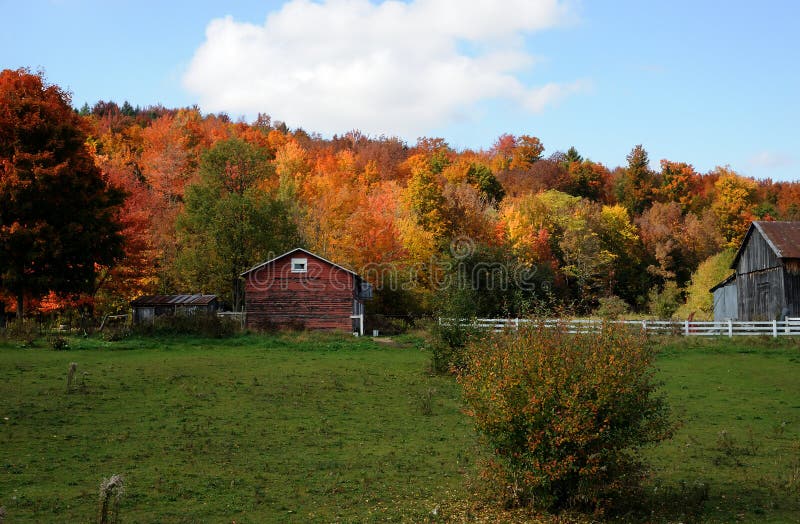 Fall Color in the Country stock photo. Image of outdoor - 45437894