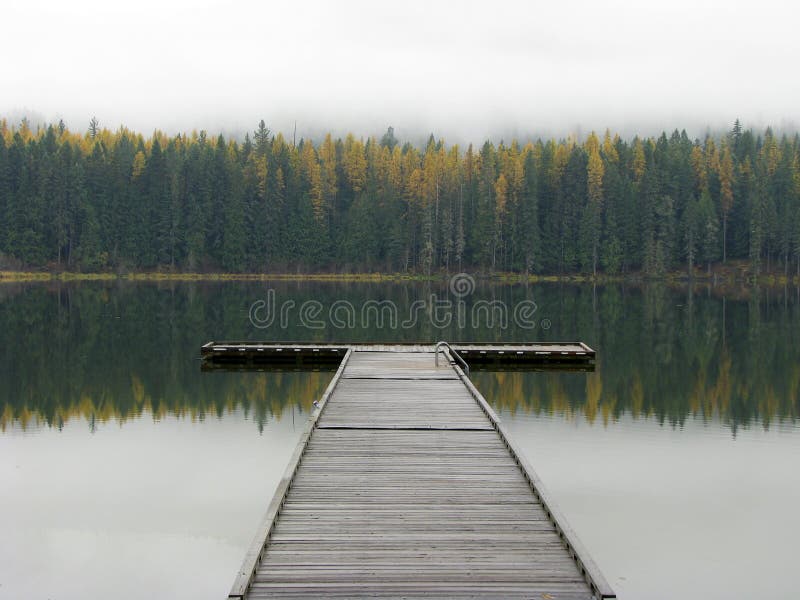 Fall color and dock, stock photo. Image of idaho, forest - 40667258