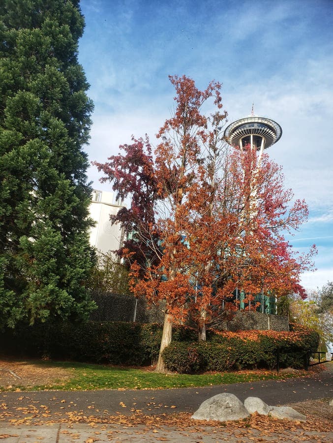 Fall Color in Front of Space Needle Seattle Washington Editorial Stock ...