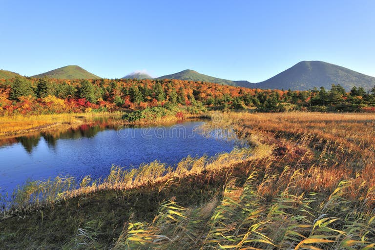Fall Color and Pond of Japan Aomori Stock Image - Image of travel ...