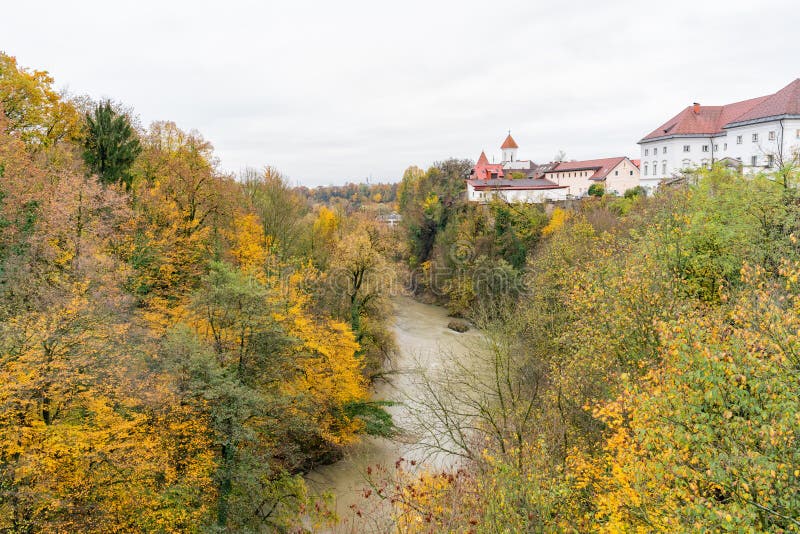 Kokra Stock Photos - Free & Royalty-Free Stock Photos from Dreamstime