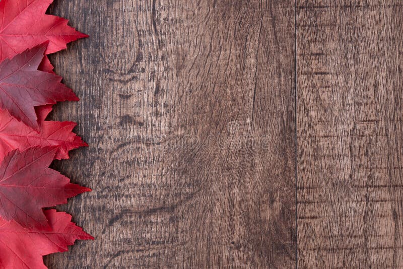 Fall Color Nature Background, Red Maple Leaves on a Rustic Dark Wood ...
