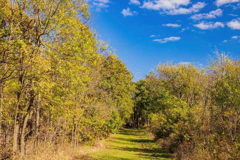 Fall Color Near the Eagle View Trail Stock Photo - Image of exterior ...