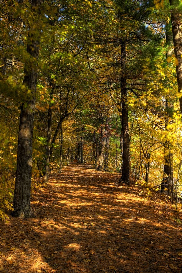 Fall Color Path - Vertical stock photo. Image of trees - 9222786