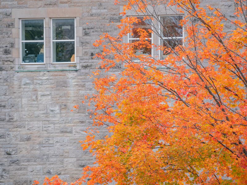 Fall Color of the Queen S University Stock Image - Image of travel ...