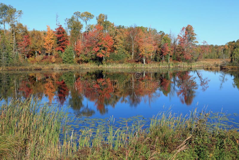 Fall color reflections stock photo. Image of clear, color - 34112580
