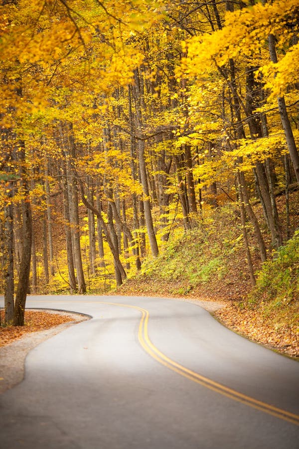 Fall color road stock image. Image of outside, leaf, pacific - 37514515