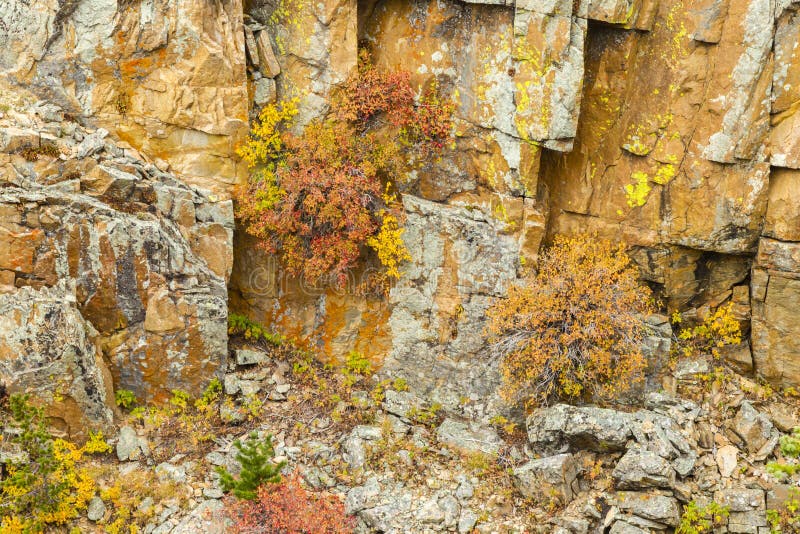 Fall Color among the Rocks stock image. Image of gorge - 65107183
