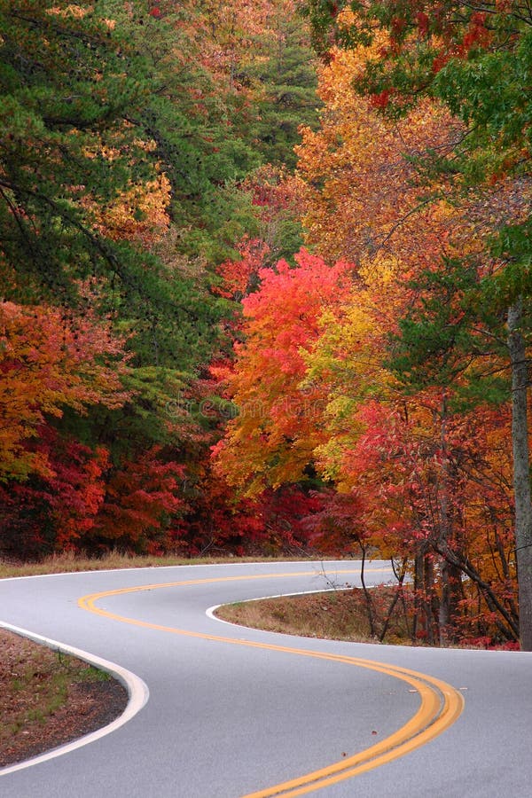 Fall Color Splash stock image. Image of road, transportation - 3285247