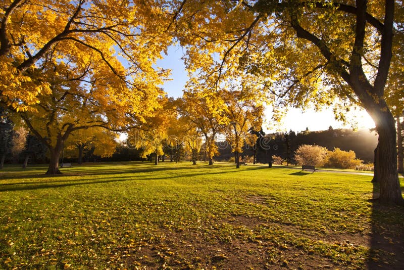 Fall color during sunrise stock photo. Image of vivid - 17751916