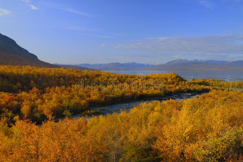 Fall color of Sweden stock image. Image of north, travel - 25294853