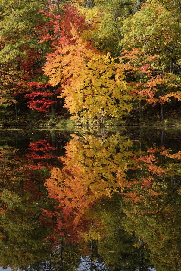 Fall Color - Three Lakes, Wisconsin Area Stock Photo - Image of colors ...