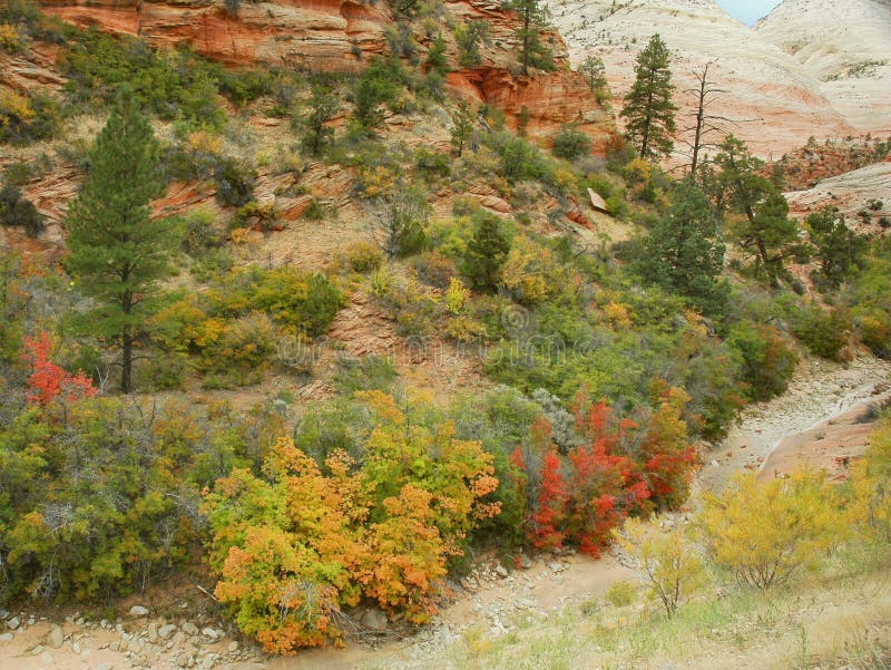 Fall Color, Zion stock image. Image of peaks, colorful - 8589741