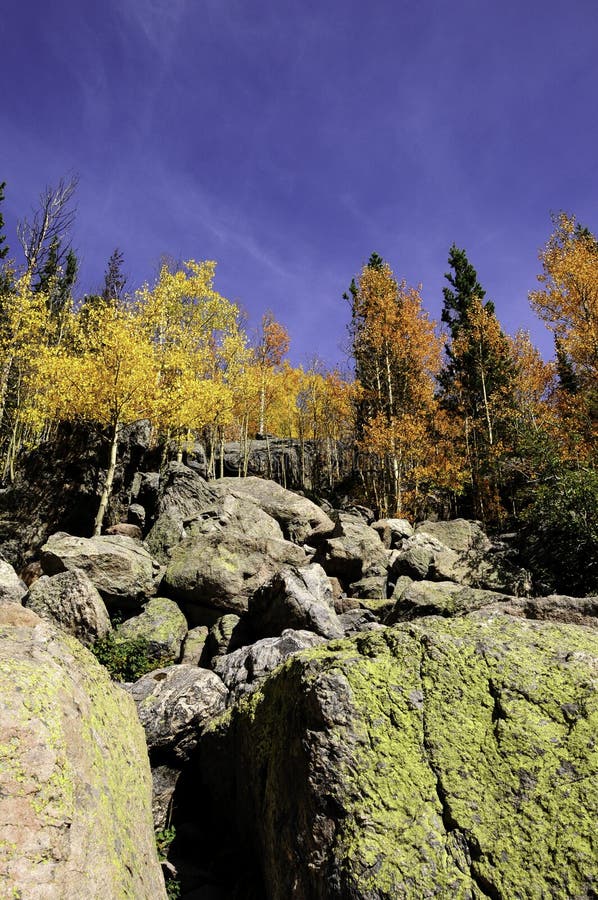 Fall Colors in Colorado on a Sunny Day Stock Photo - Image of scenic ...