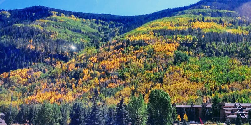 Fall 2019 Colorado Vail September October Stock Image - Image of fall ...