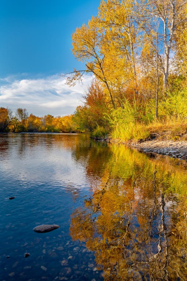 Fall Colored Tree Reflection on the Shore of the Boise River Stock ...