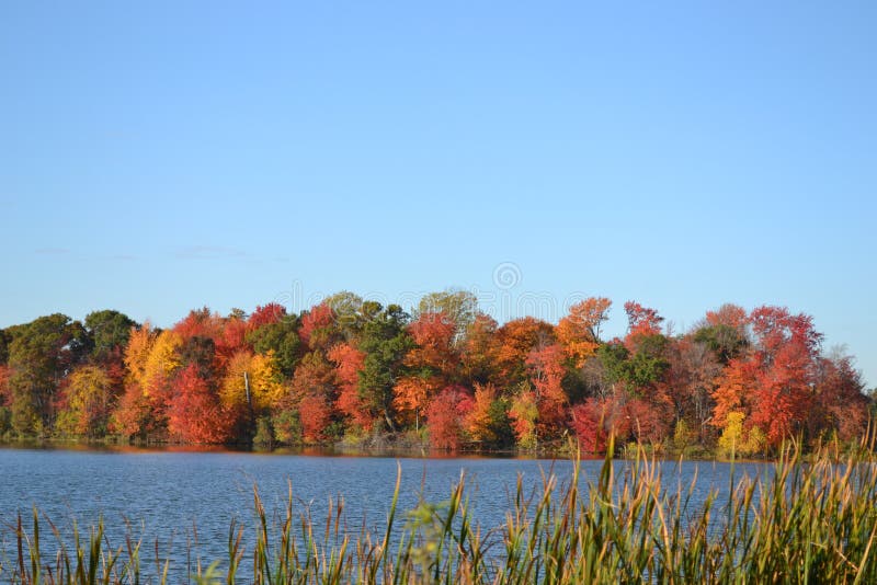 Fall stock photo. Image of lake, fall, overlooking, colorful - 137612926