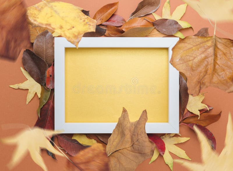 Fall Colorful Leaves Falling on a White Frame. Stock Image - Image of ...