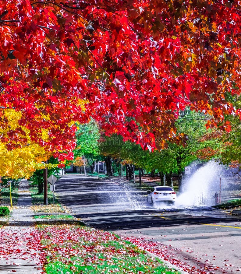 Fall Colorful in New Brunswick, Canada Editorial Stock Photo - Image of ...