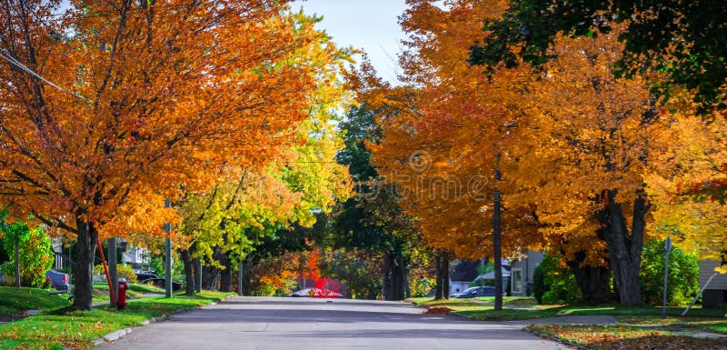 Fall Colorful in Greater Moncton, New Brunswick, Canada Stock Image ...