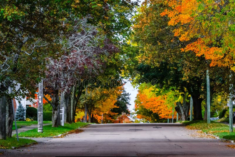 Fall Colorful in Greater Moncton, New Brunswick, Canada Stock Image ...
