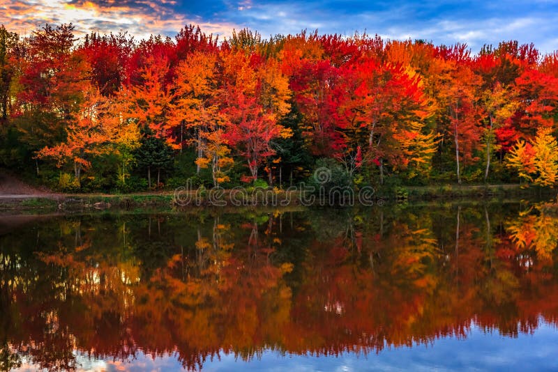 Fall Colorful in Greater Moncton, New Brunswick, Canada Stock Image ...