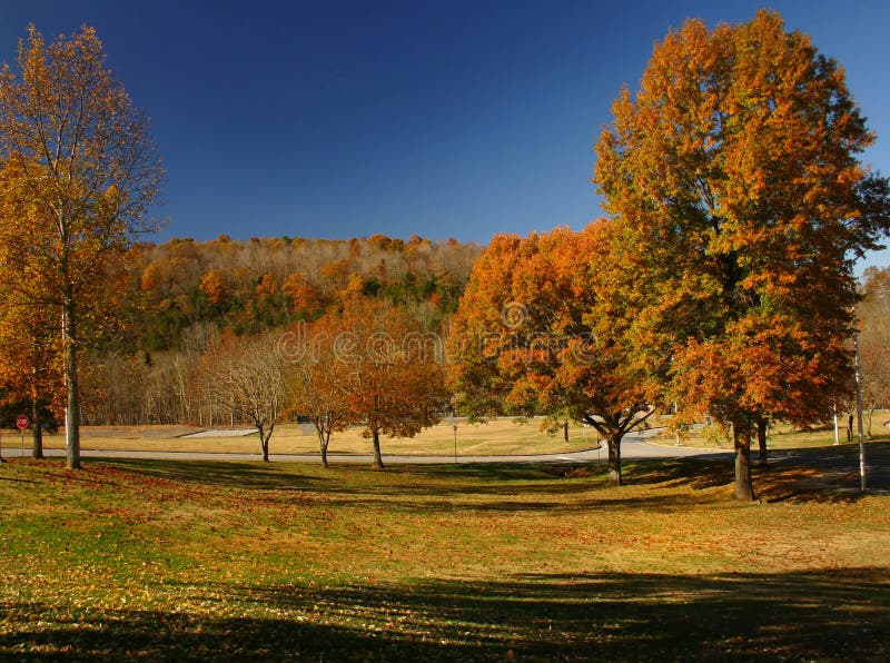 Fall colors stock photo. Image of leaves, fall, yellow - 10284614