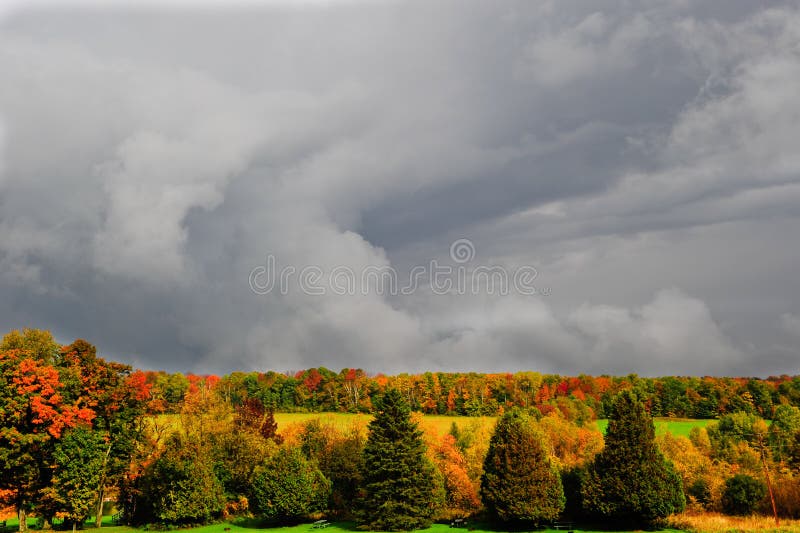 Fall Colors stock photo. Image of forest, changing, golden - 16032230