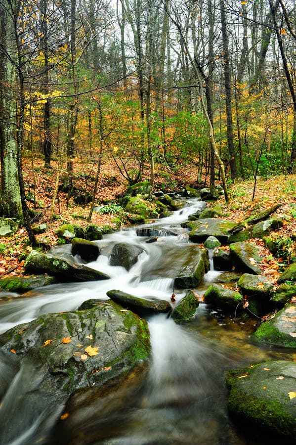 Fall Colors stock image. Image of river, moss, mountains - 16198585