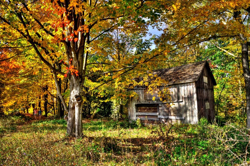 Cabin in the Woods stock photo. Image of residence, fall - 6276232