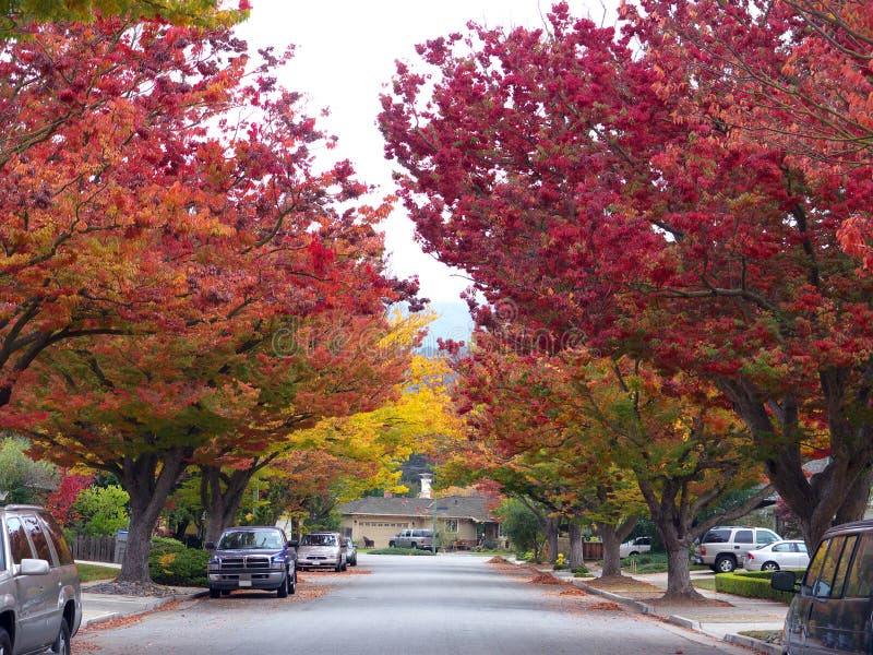 Fall colors stock image. Image of nostalgic, october - 22109711