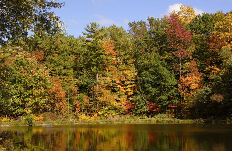 Fall Colors Picture. Image: 3174685