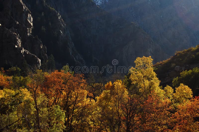 Fall colors stock image. Image of autumn, field, countryside - 3364467