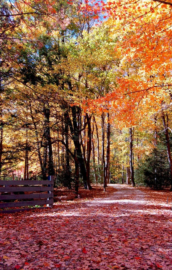 Fall colors stock image. Image of fence, orange, landscape - 3427423