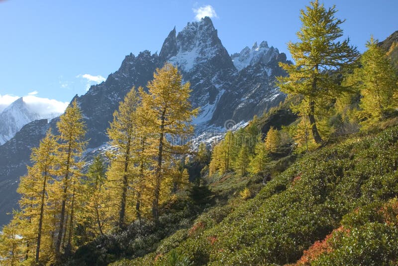 Fall colors stock image. Image of colors, alps, seasonal - 39835