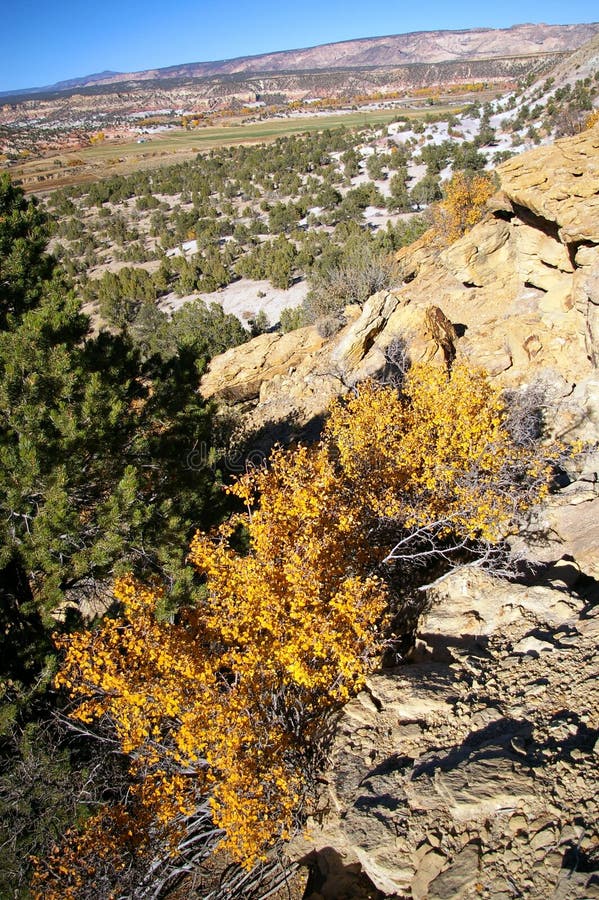 Fall Colors stock photo. Image of colorful, trees, desert - 6879044