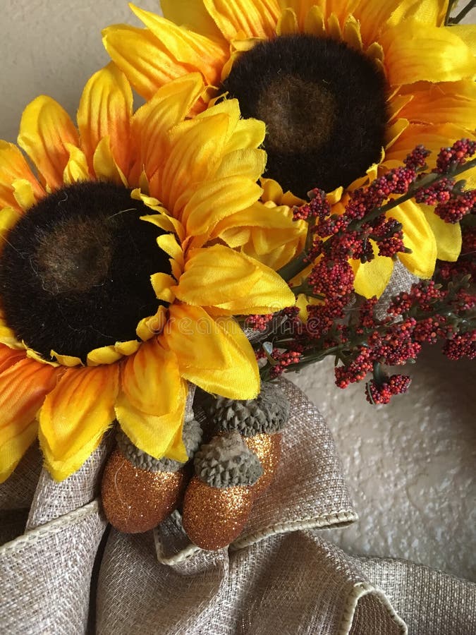 Fall colors editorial photo. Image of fall, gold, colors - 80043941