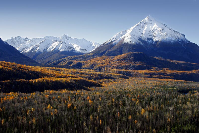 Fall Colors in Alaska stock image. Image of season, mountain - 3365533