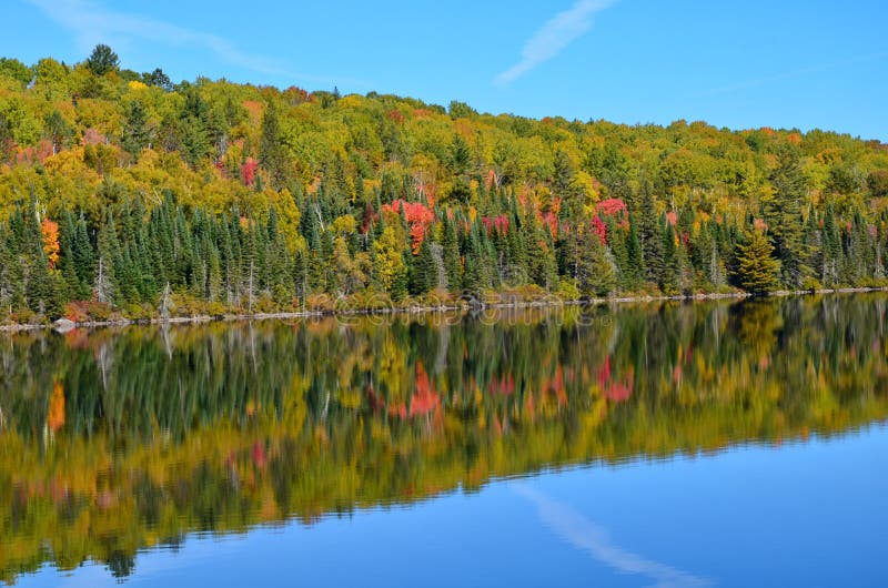 Fall Colors in Algonquin stock image. Image of 2022 - 258075283