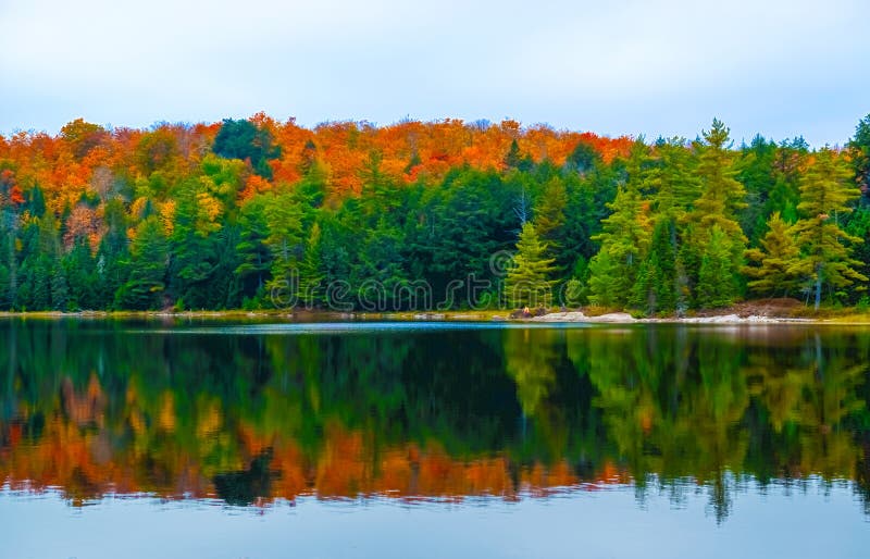 View of Fall Colors in Algonquin Park Ontario Stock Photo - Image of ...