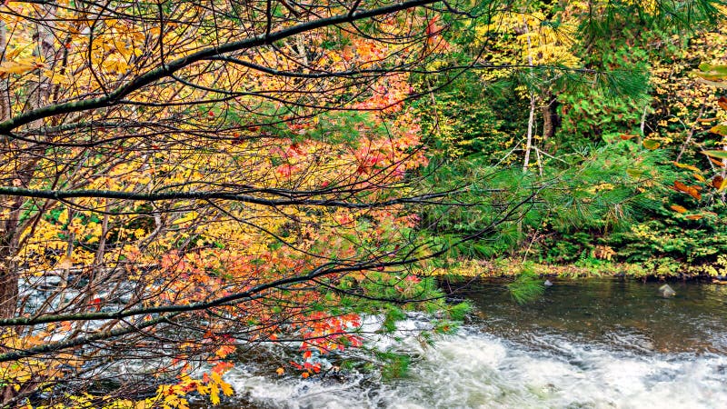 Fall Colors Algonquin Park, Ontario, Canada Stock Photo - Image of ...