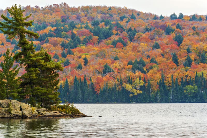 Fall Colors Algonquin Park, Ontario, Canada Stock Photo - Image of ...