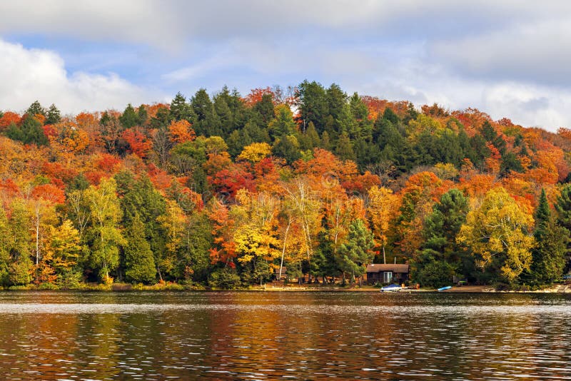 Fall Colors Algonquin Park, Ontario, Canada Stock Photo - Image of ...