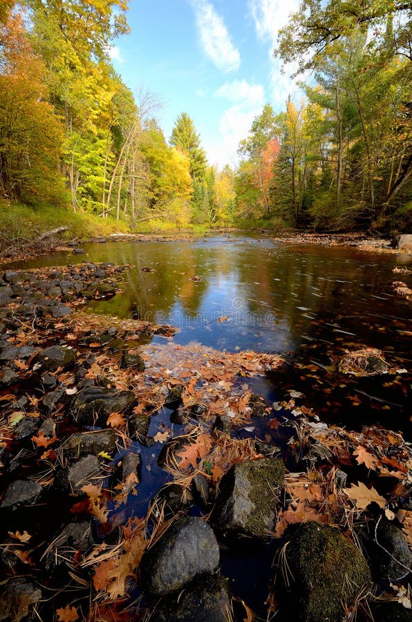Fall Colors Along the Pine River Stock Image - Image of foliage ...