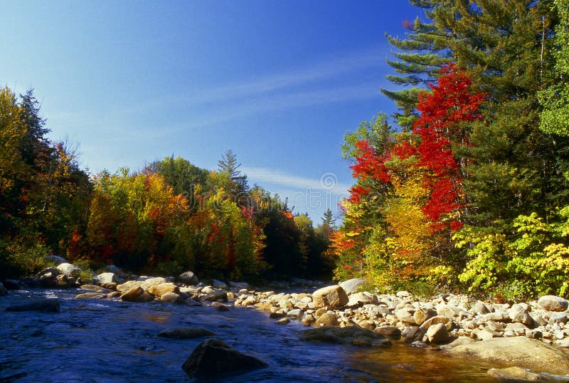 Fall Colors Along the River Stock Photo - Image of forest, water: 11738604